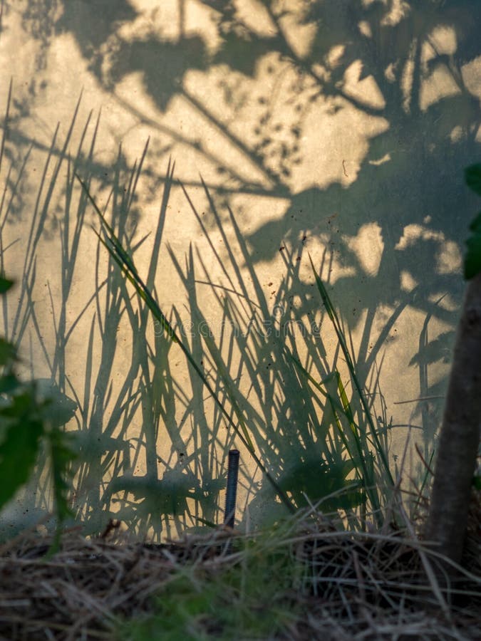 Photography with Different Shadows on an Uneven Surface, Suitable for ...