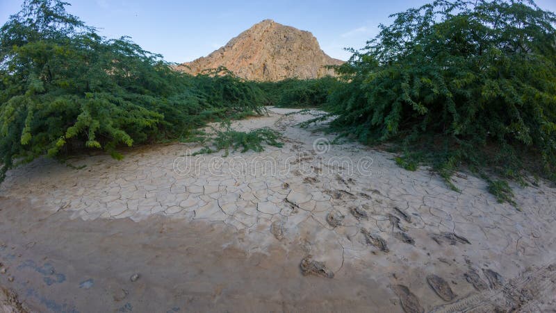 Photography of Dried Up Riverbed with Mud and Tyre Tracks in Oman ...