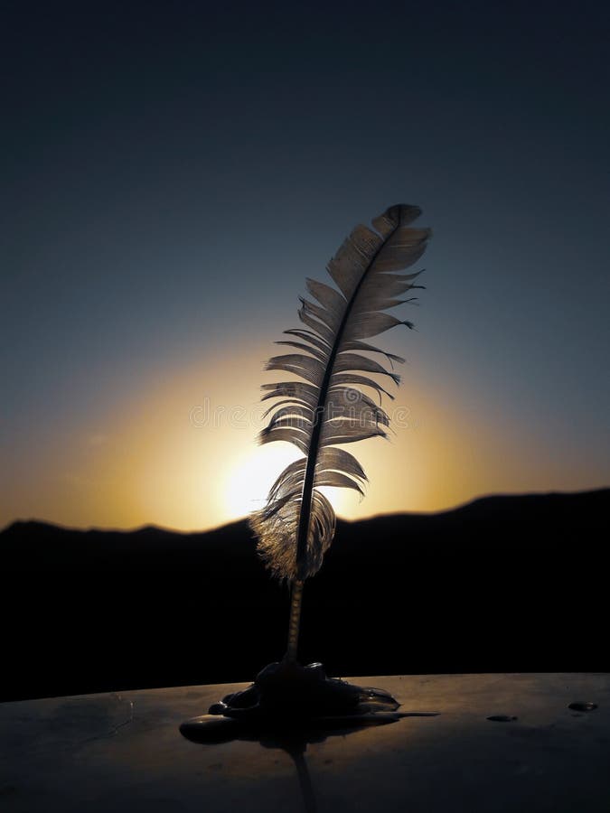 Photography a Feather during the Sunset Stock Image - Image of ...