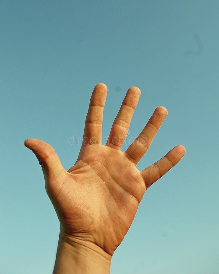 Photography of Left Hand Pointing Isolated on Red Background with Words ...