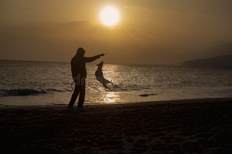 Photography of Man and Dog Playing in the Beach Silhouette Stock Photo ...
