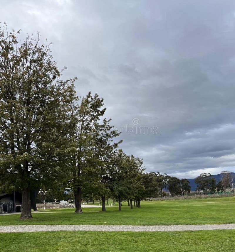 A Photography of a Park with a Few Trees and a Bench, Lakeshore Park ...