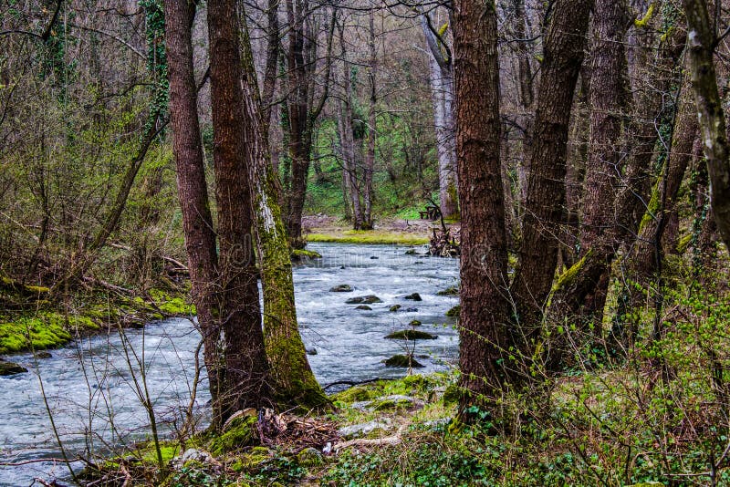 Photography of River in Spring Stock Image - Image of tree, trail ...