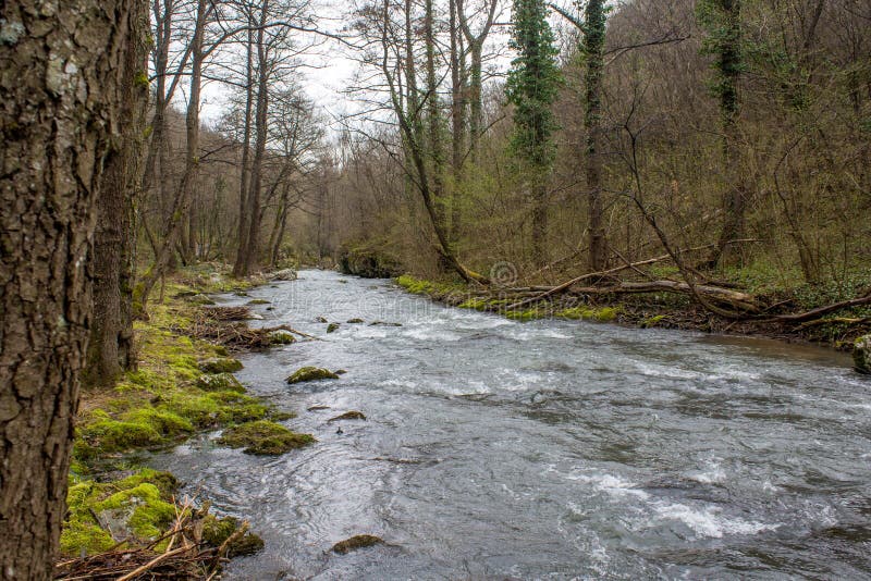 Photography of River in Spring Stock Photo - Image of river, creek ...
