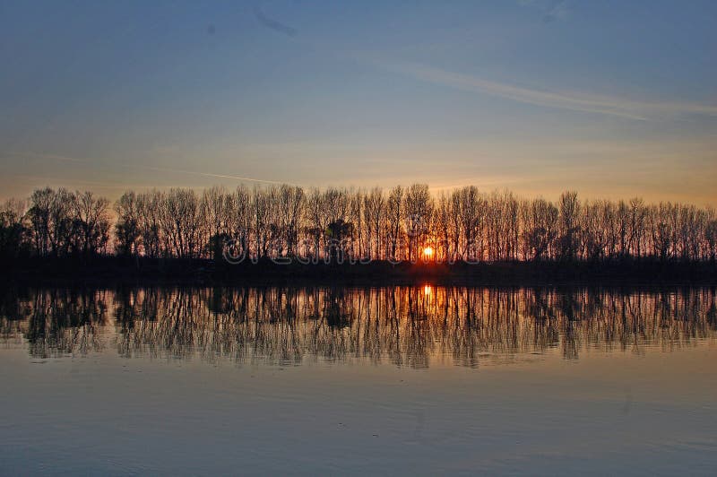 Photography of Sunset through Trees Silhouettes by the Tisa River Stock ...