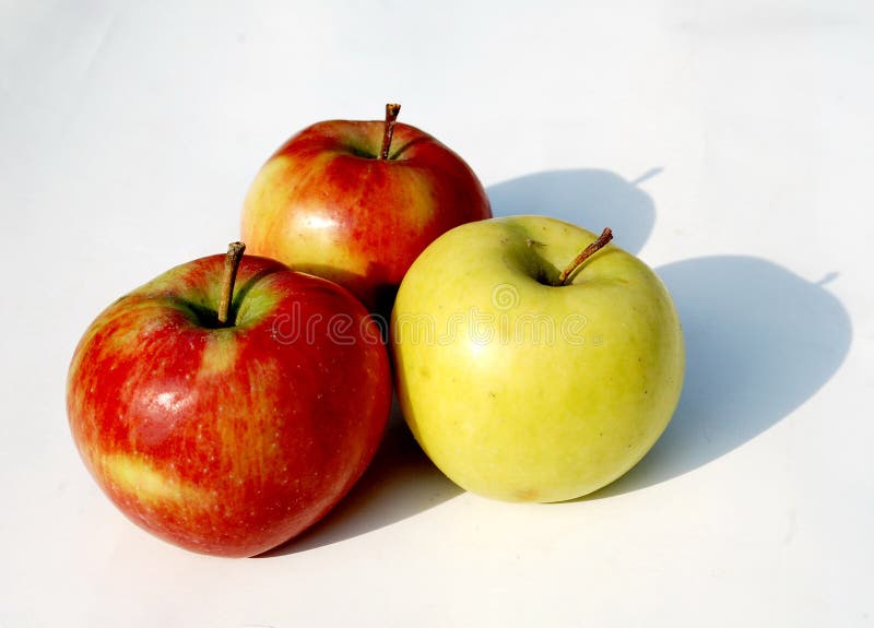 Three apples stock photo. Image of delicious, eating - 126189374