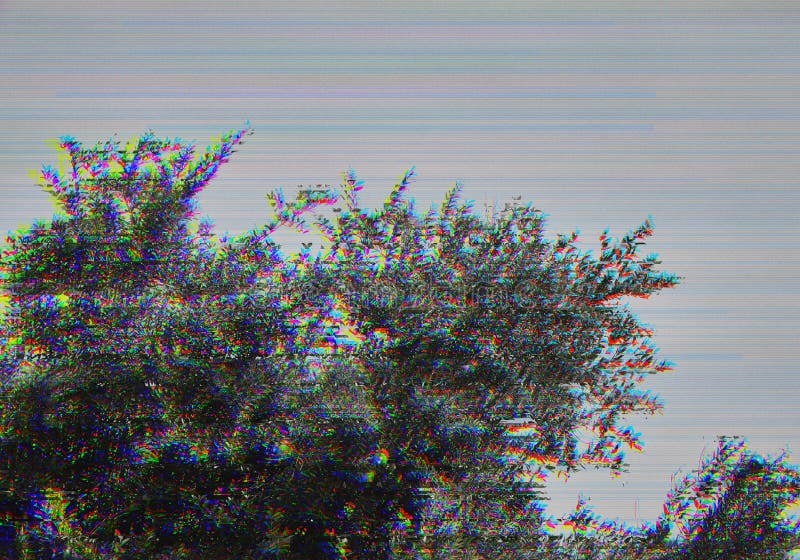 Photography of Tree with Glitch Effect Stock Photo - Image of graphic ...