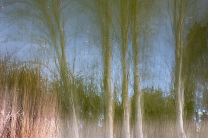 Mara Lago Face Stock Photos - Free & Royalty-Free Stock Photos from ...