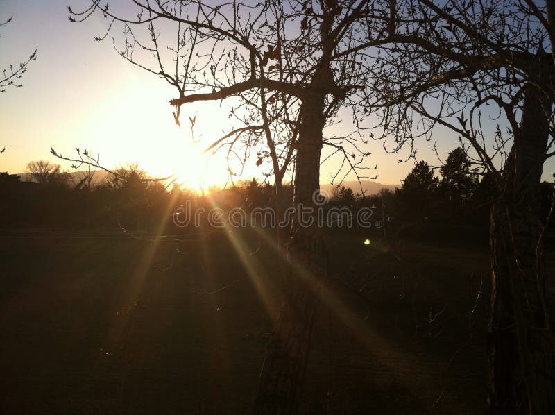 Photography stock image. Image of camera, tree, phenomenon - 51171795