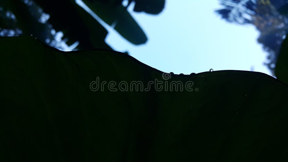 Photos of Beautiful and Cool Scenery Stock Photo - Image of mountains ...