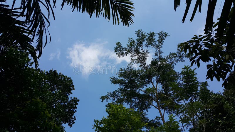 Photos of Beautiful and Cool Scenery Stock Image - Image of nature ...