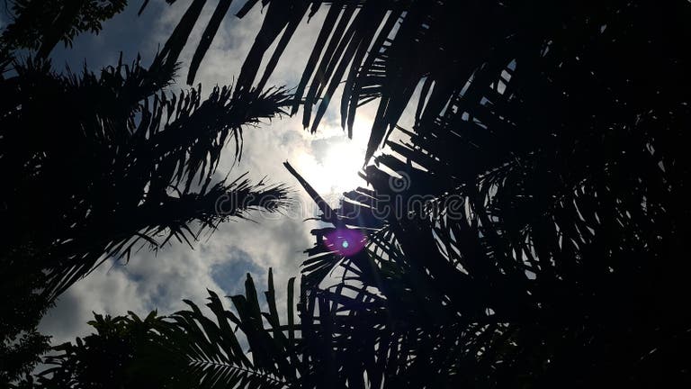 Photos of Beautiful and Cool Scenery Stock Photo - Image of green ...