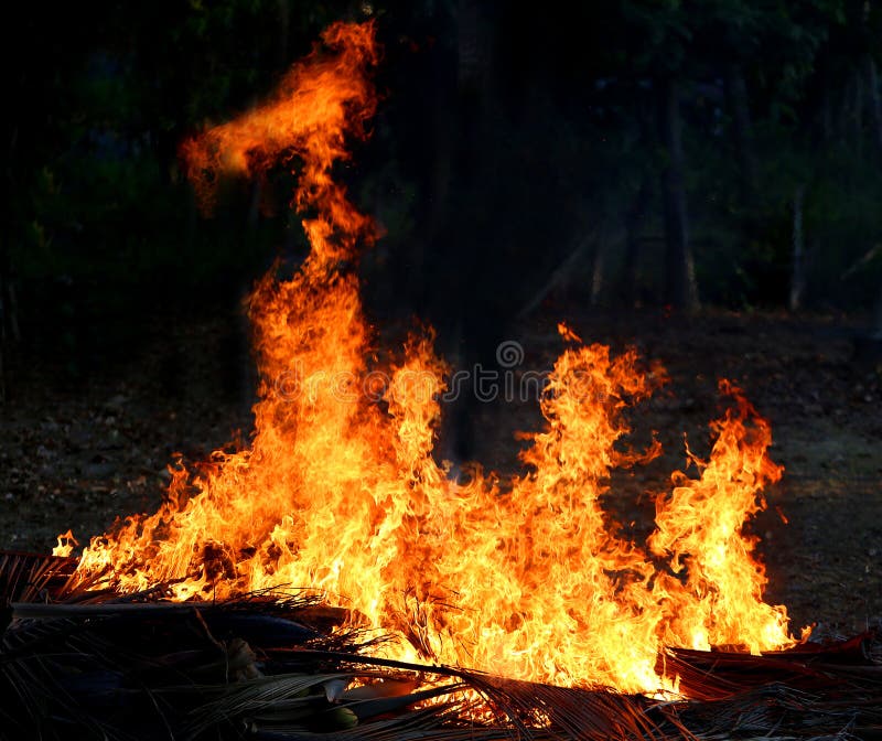 Photos bright big fire stock photo. Image of natural - 90580130