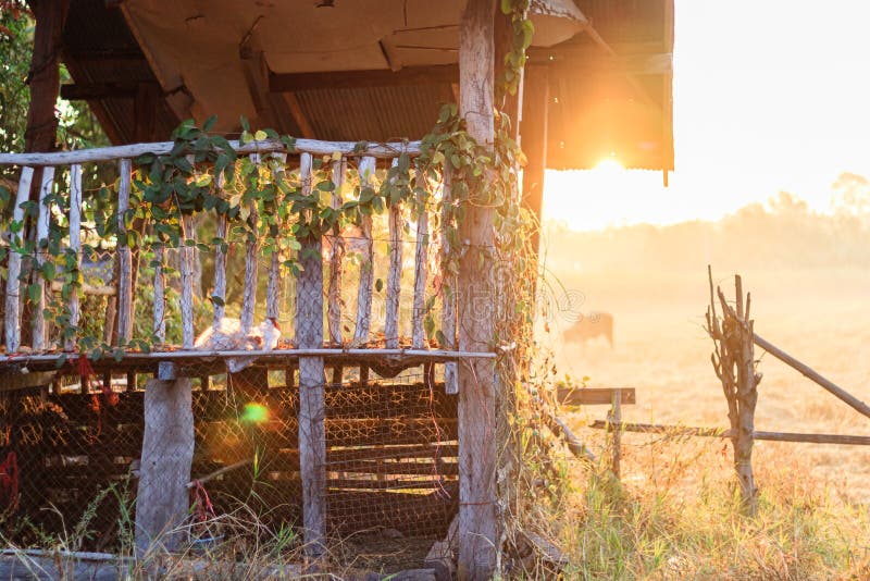 Photos of Cottages and Morning Sunrise Stock Photo - Image of sunlight ...