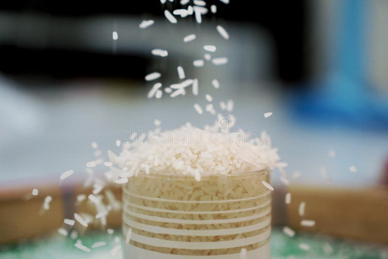 Photos of Full Frame of Rice Stock Photo - Image of full, healthy ...