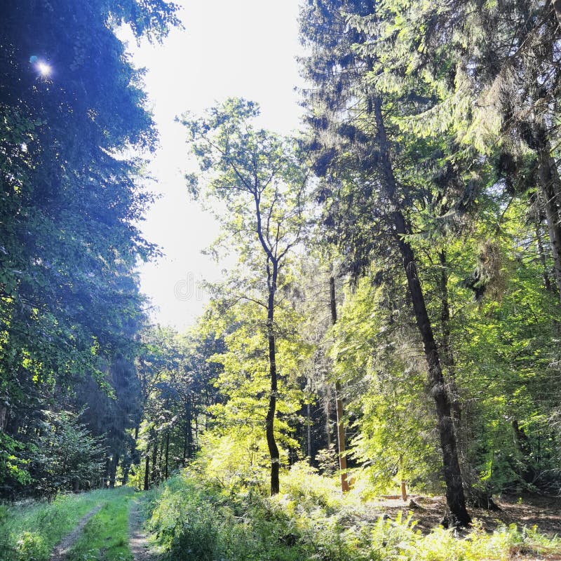 Photos of Nature in Northern Germany Stock Image - Image of meadow ...