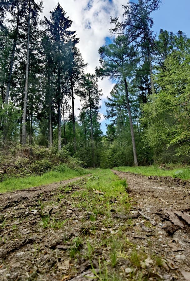 Photos of Nature in Northern Germany in Spring Stock Photo - Image of ...