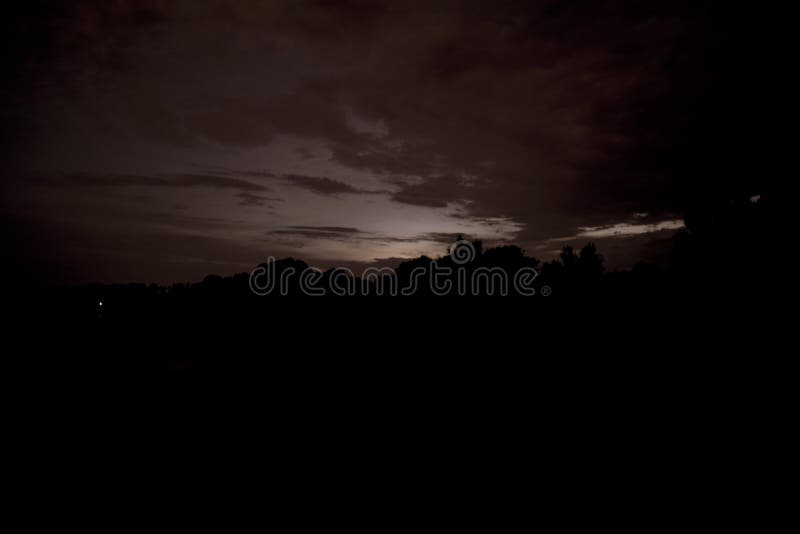 Photos of the Night Landscape. Forest in Dusk Stock Photo - Image of ...