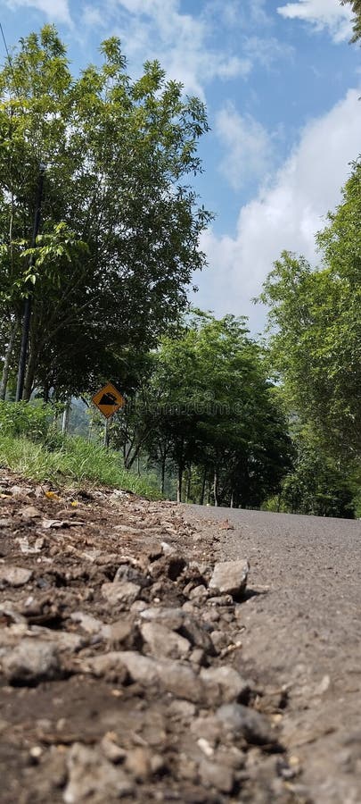 Photos of Open Nature Flowers and Trees Stock Image - Image of heaven ...