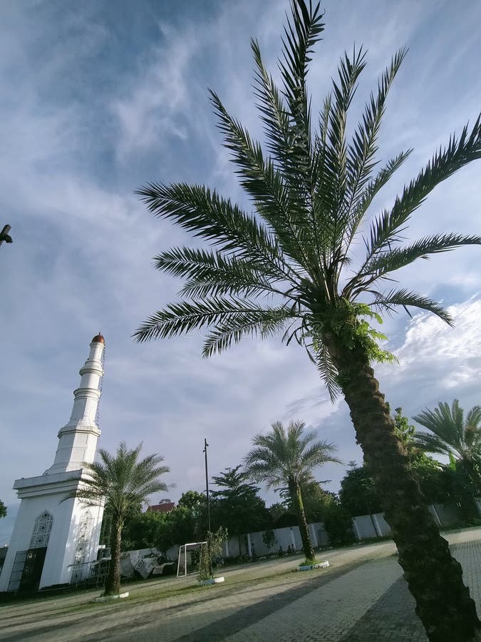 The Photos of Tower in Front of Musque Stock Photo - Image of garden ...