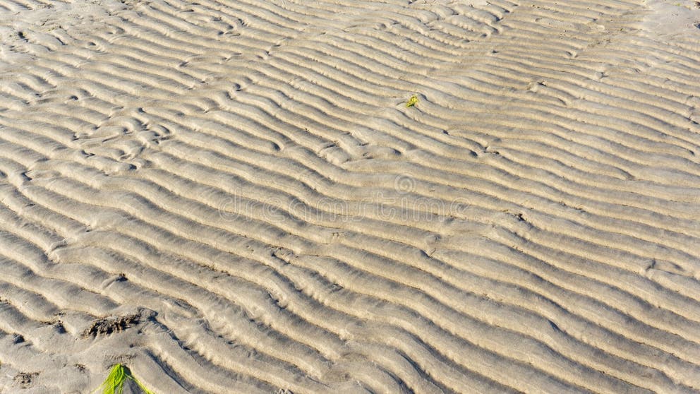 A Natural Pattern Created by the Sea. Photos of Undulating Sea Sand ...