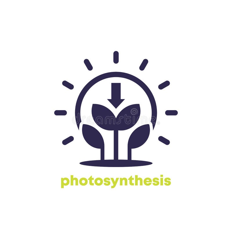 Photosynthesis Icon with Plant and Sun Stock Vector - Illustration of ...