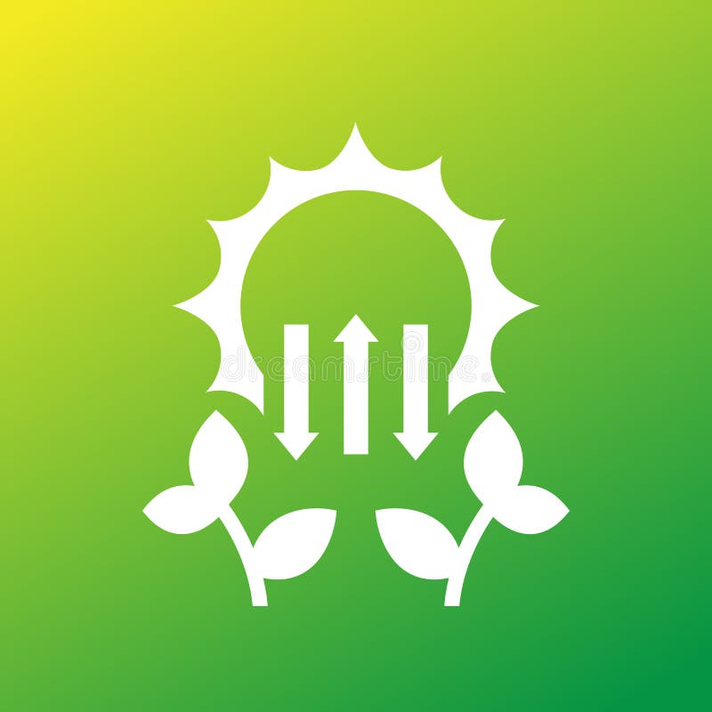 Photosynthesis Icon Stock Illustrations – 1,093 Photosynthesis Icon ...