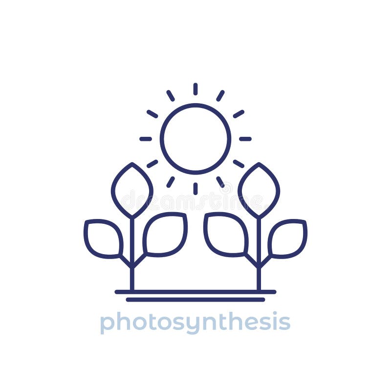 Photosynthesis Line Icon. Environment Vector Illustration Isolated on ...
