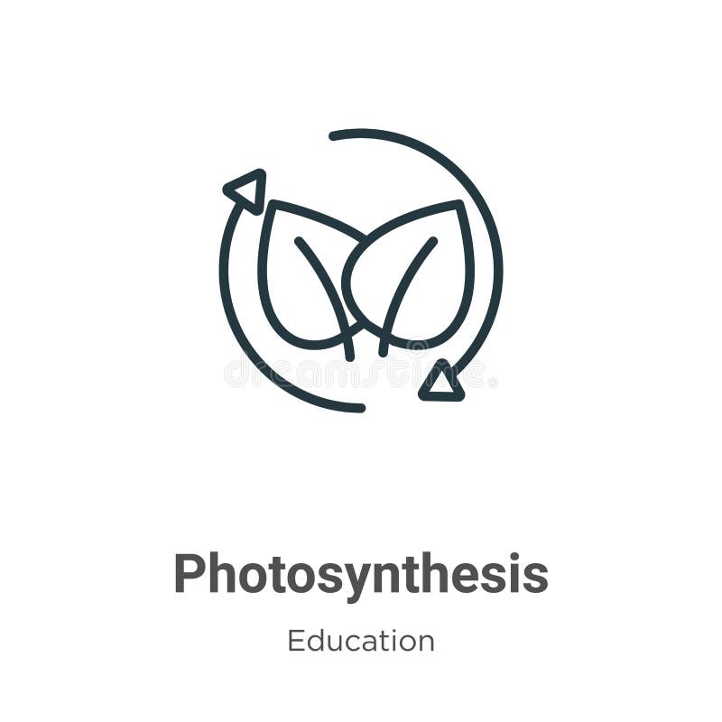 Photosynthesis Vector Icon In 6 Different Modern Styles. Black, Two Colored Photosynthesis Icons ...