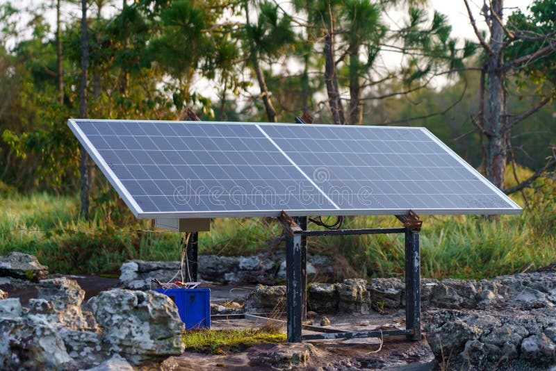 Photovoltaic Using Renewable Solar Energy in Forest Stock Photo - Image ...