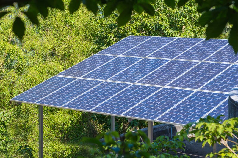 Photovoltaic Using Renewable Solar Energy in Forest Stock Image - Image ...
