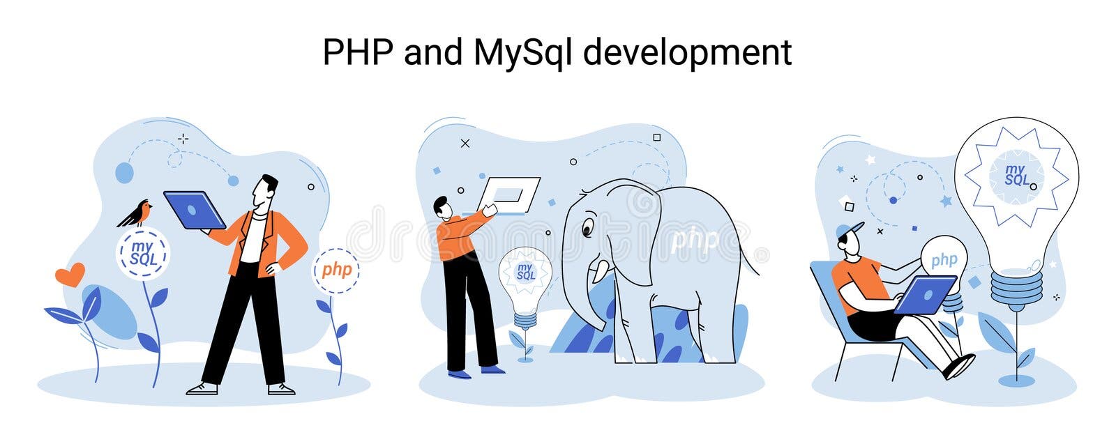 Php And Mysql Development Database Management System Programming Language Website Coding 1696