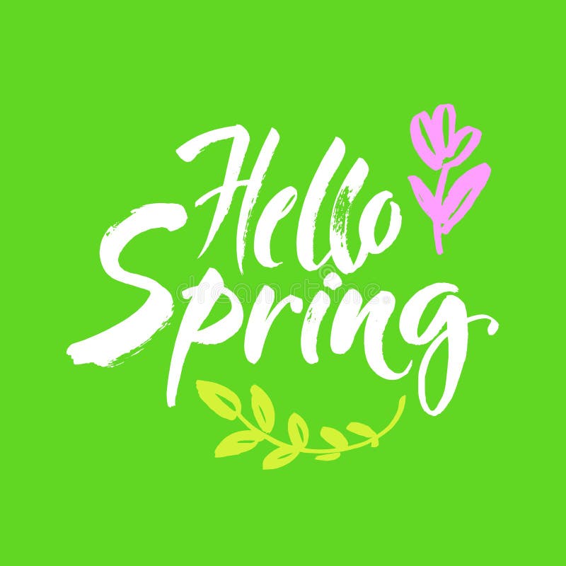 Phrase Hello Spring Brush Lettering Isolated on Green Background ...