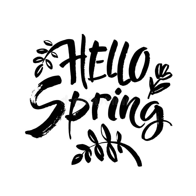 Phrase Hello Spring Brush Lettering Isolated on Background. Handwritten ...