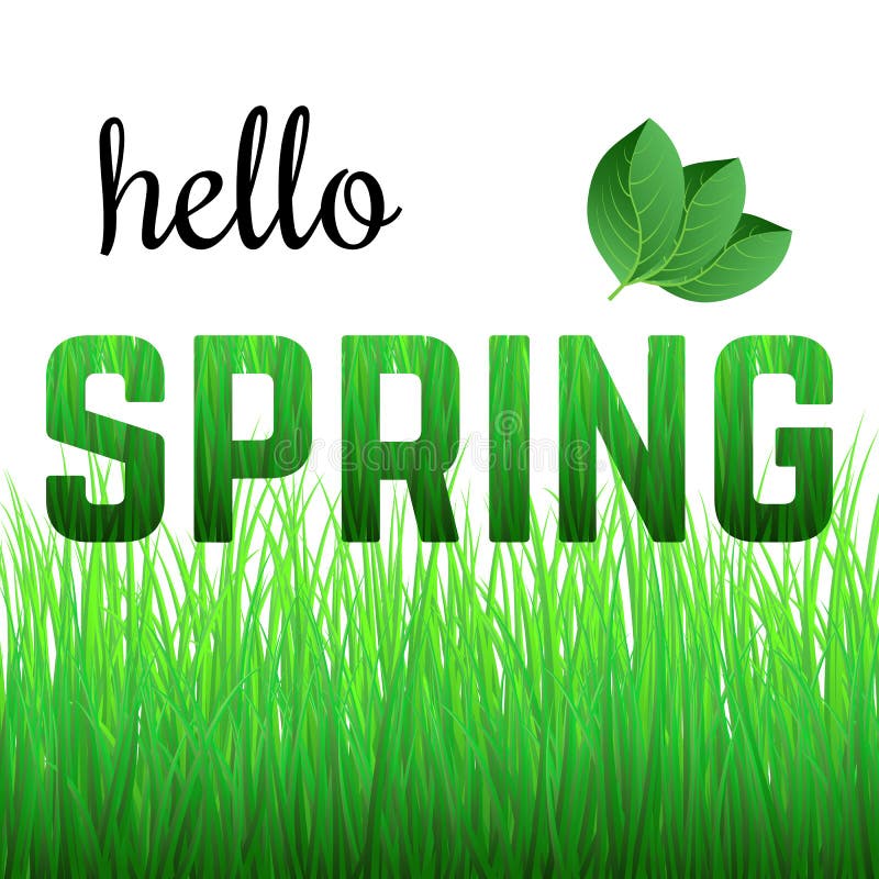 Phrase Hello Spring from Grass Stock Vector - Illustration of ...
