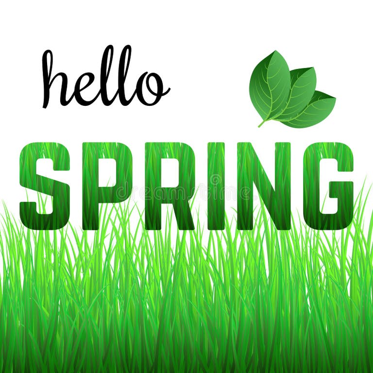 Phrase Hello Spring from Grass Stock Vector - Illustration of ...
