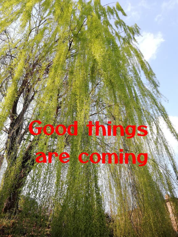 Phrases stock illustration. Illustration of good, backround - 258740785