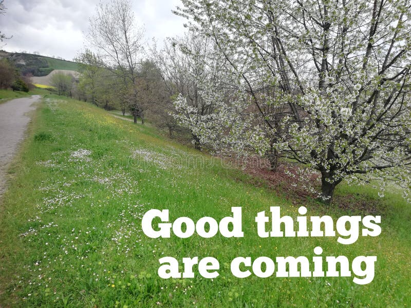 Phrases stock illustration. Illustration of bloosom - 258740790