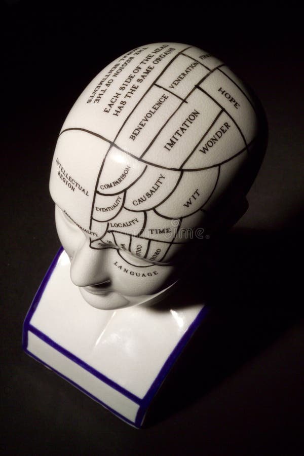 Phrenology Head stock image. Image of conscience, think - 16014361