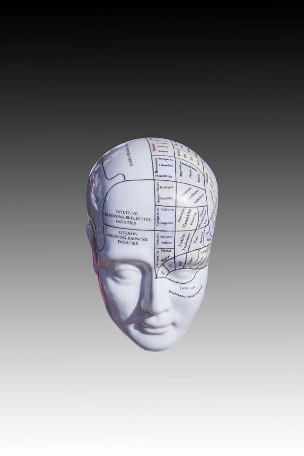 Phrenology Map of the Brain Stock Photo - Image of basis, health: 231270710