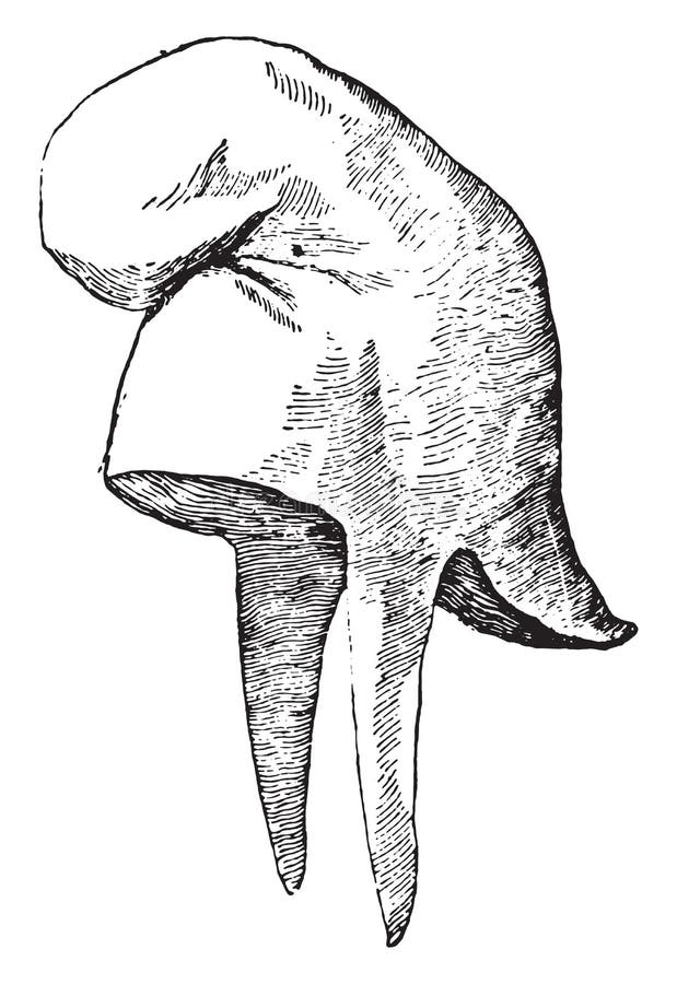 Phrygian Cap or Liberty Cap with Tricolor Cockade on. Bonnet Phrygien ...