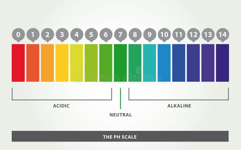 PH Scale Illustration with 14 Levels, from Acidic To Neutral To ...