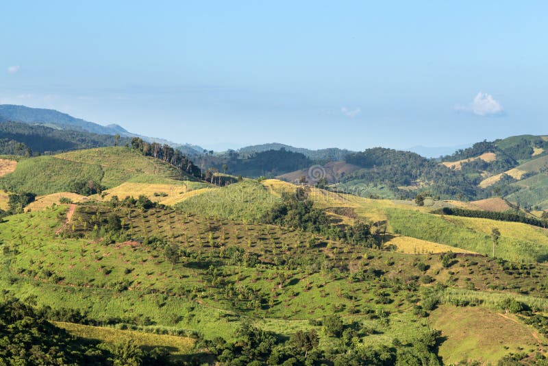 Phu Chi Fa, Thailand stock image. Image of scenery, scenic - 53280927
