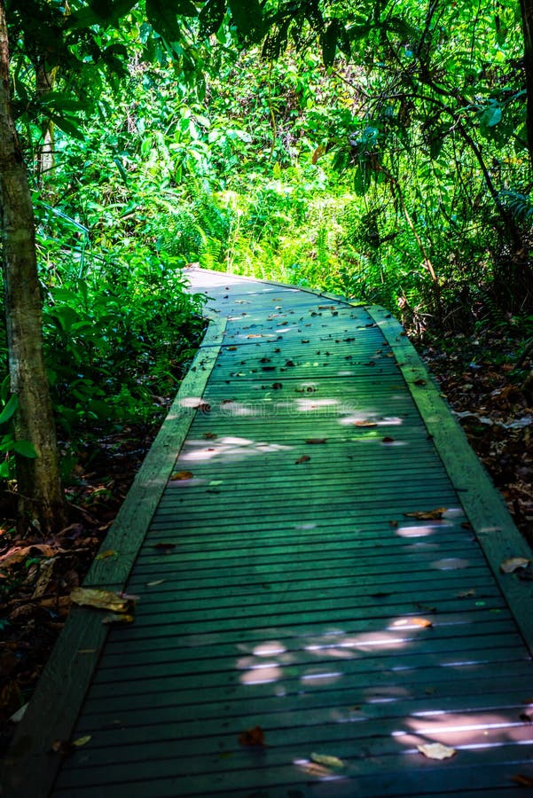 Phu Sang Warm Sping Nature Trail Stock Image - Image of pathway ...