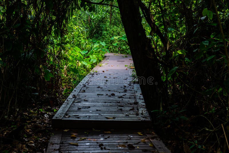 Phu Sang Warm Sping Nature Trail Stock Photo - Image of natural ...