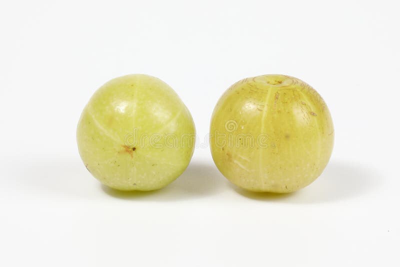 Phyllanthus Emblica Berry Fruit Stock Photo - Image of gooseberry ...