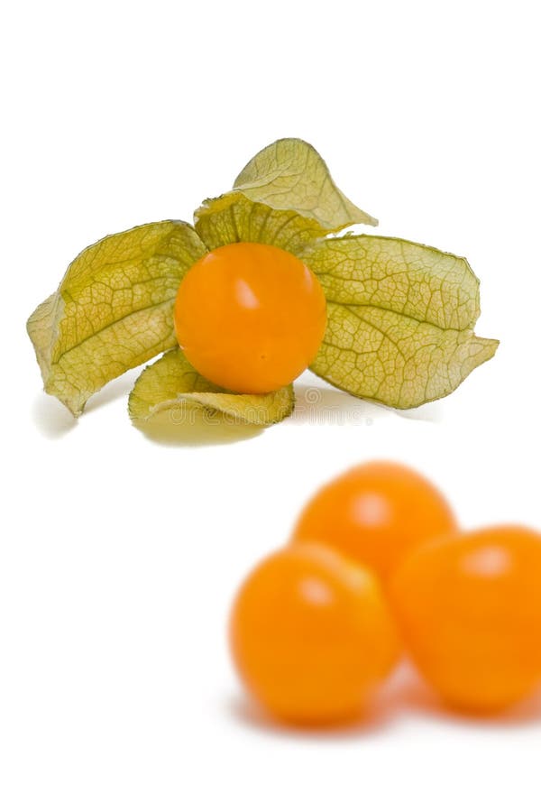 Physalis stock image. Image of healthy, physalis, groundcherry - 17301833