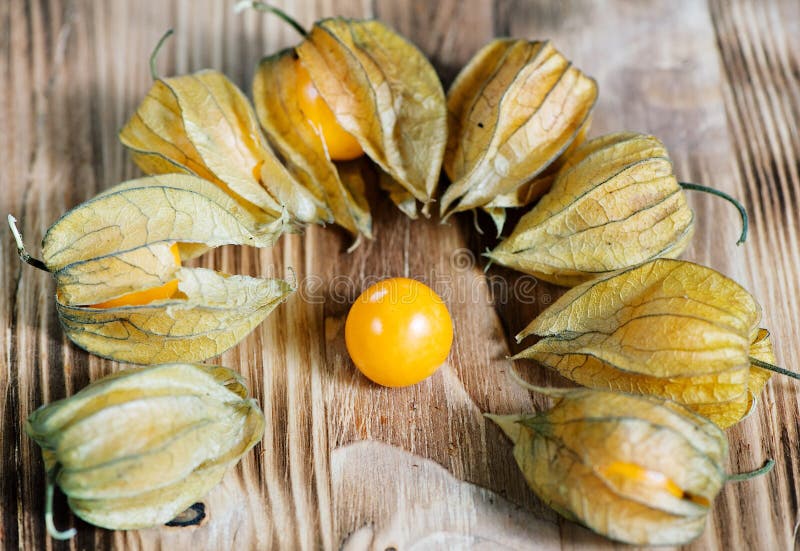 Physalis image stock. Image du table, nourriture, nutrition - 25618677