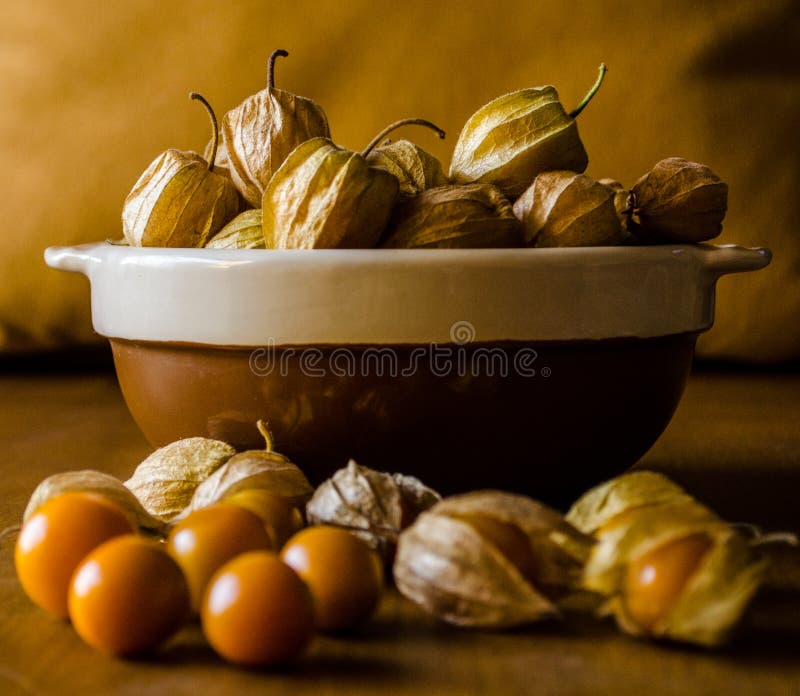 Physalis stock image. Image of food, bowl, plant, physalis - 37625565