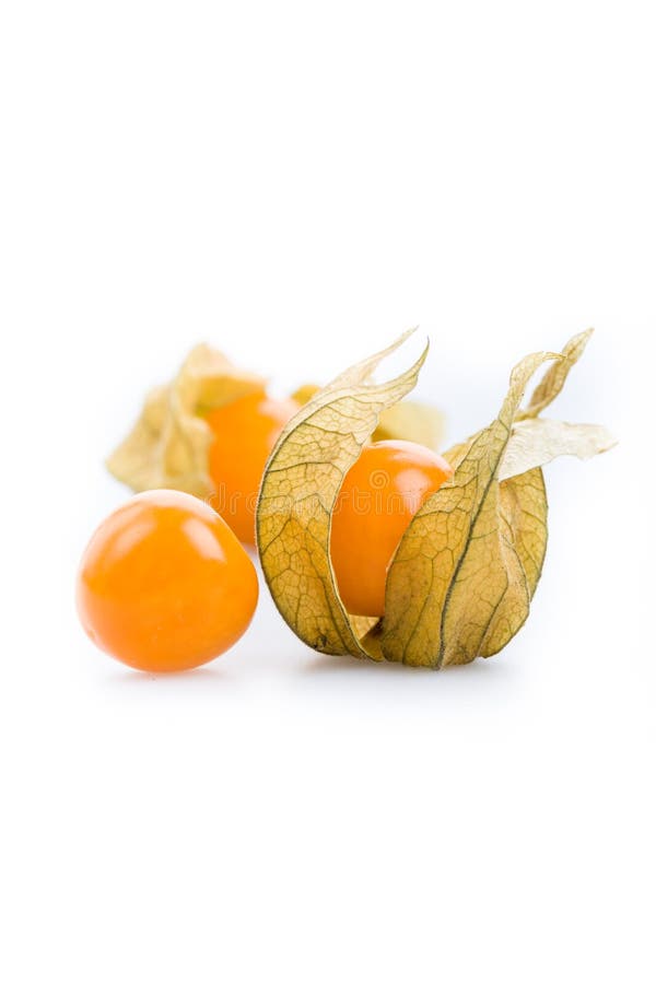 Physalis stock image. Image of isolated, ripe, exotic - 38382789